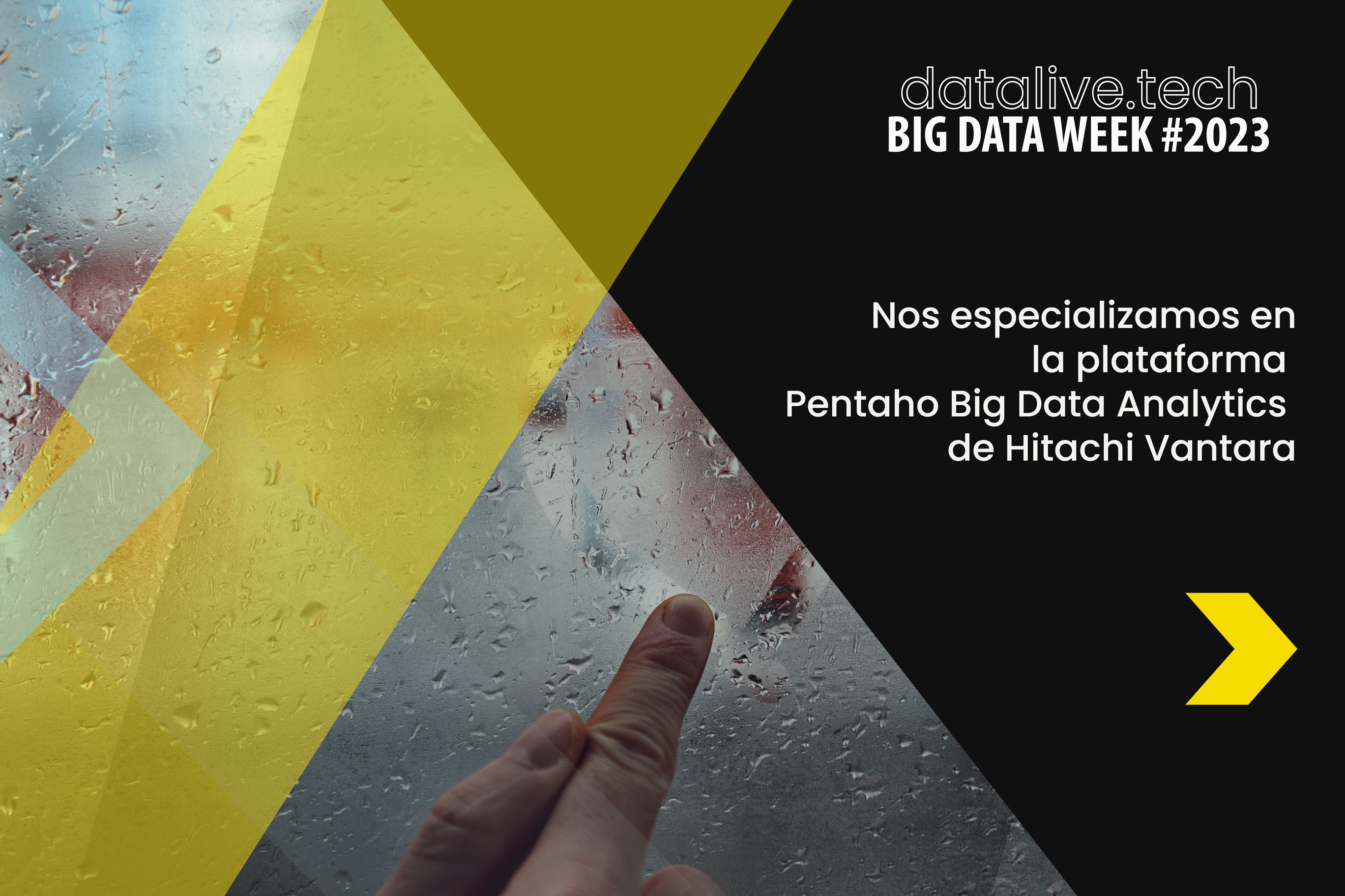 Las 7 razones principales por las que desea elegir Datalive para los ...